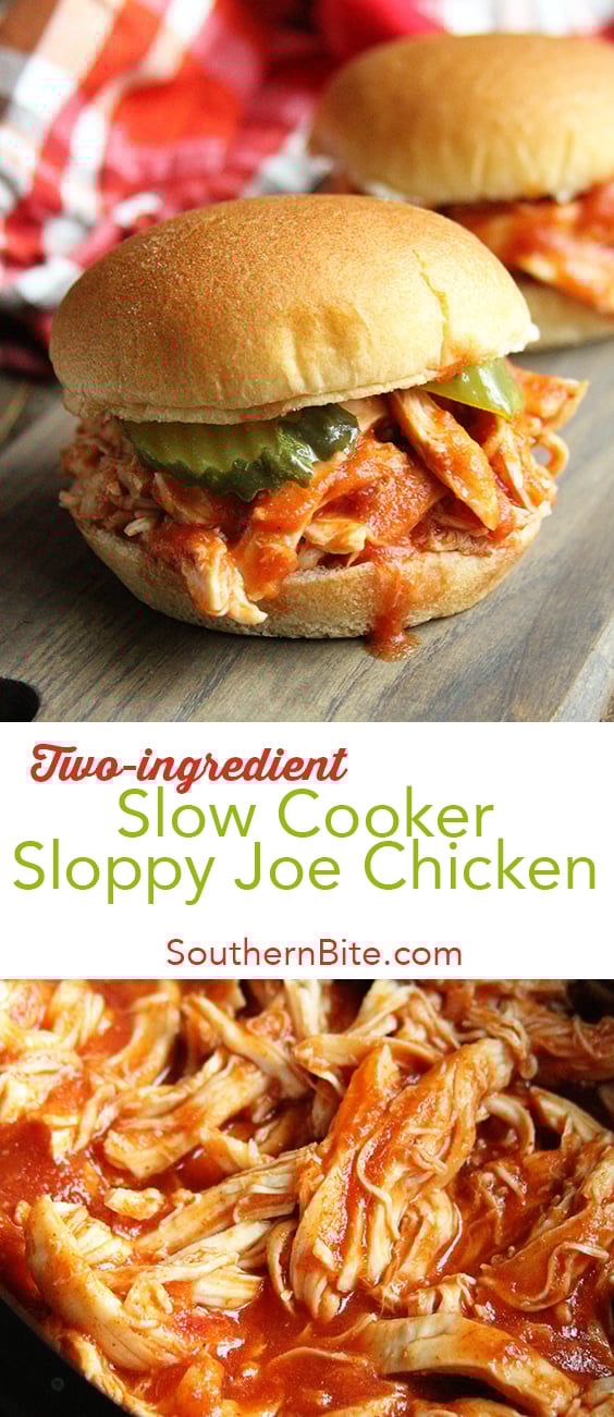 Slow Cooker Sloppy Joe Chicken - Southern Bite