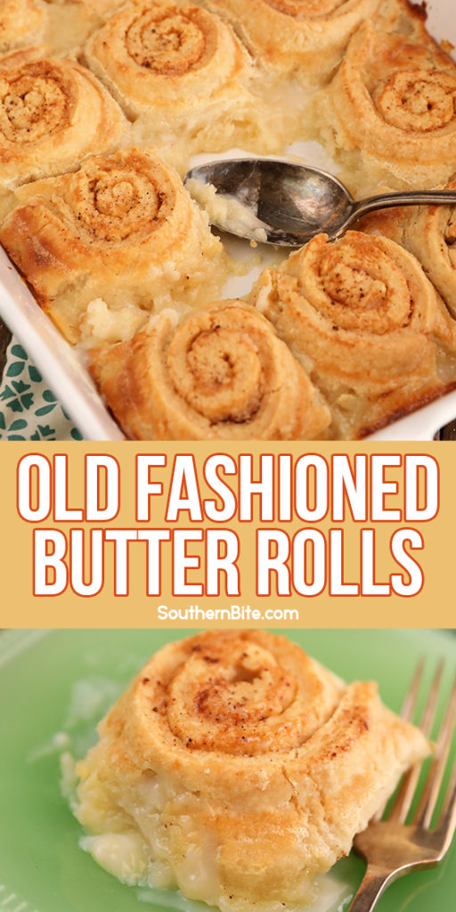 Old Fashioned Butter Rolls - Southern Bite