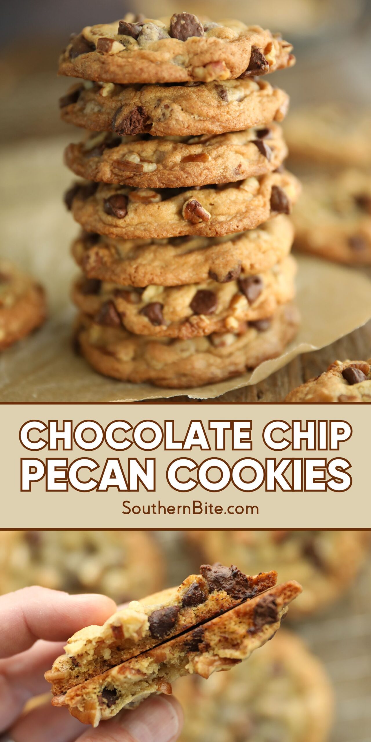 Chocolate Chip Pecan Cookies - Southern Bite